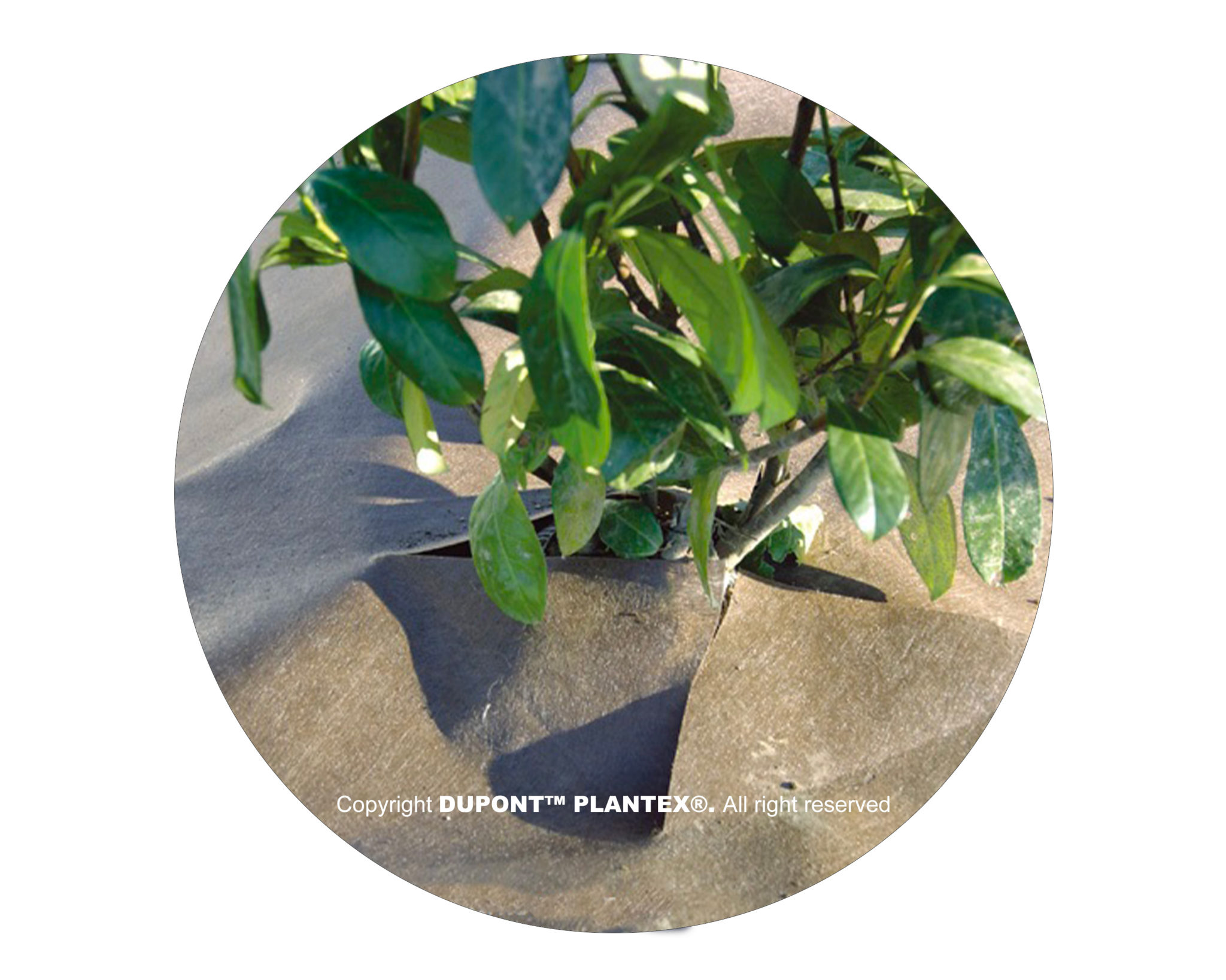 Dupont Plantex Pro per il contenimento delle infestanti